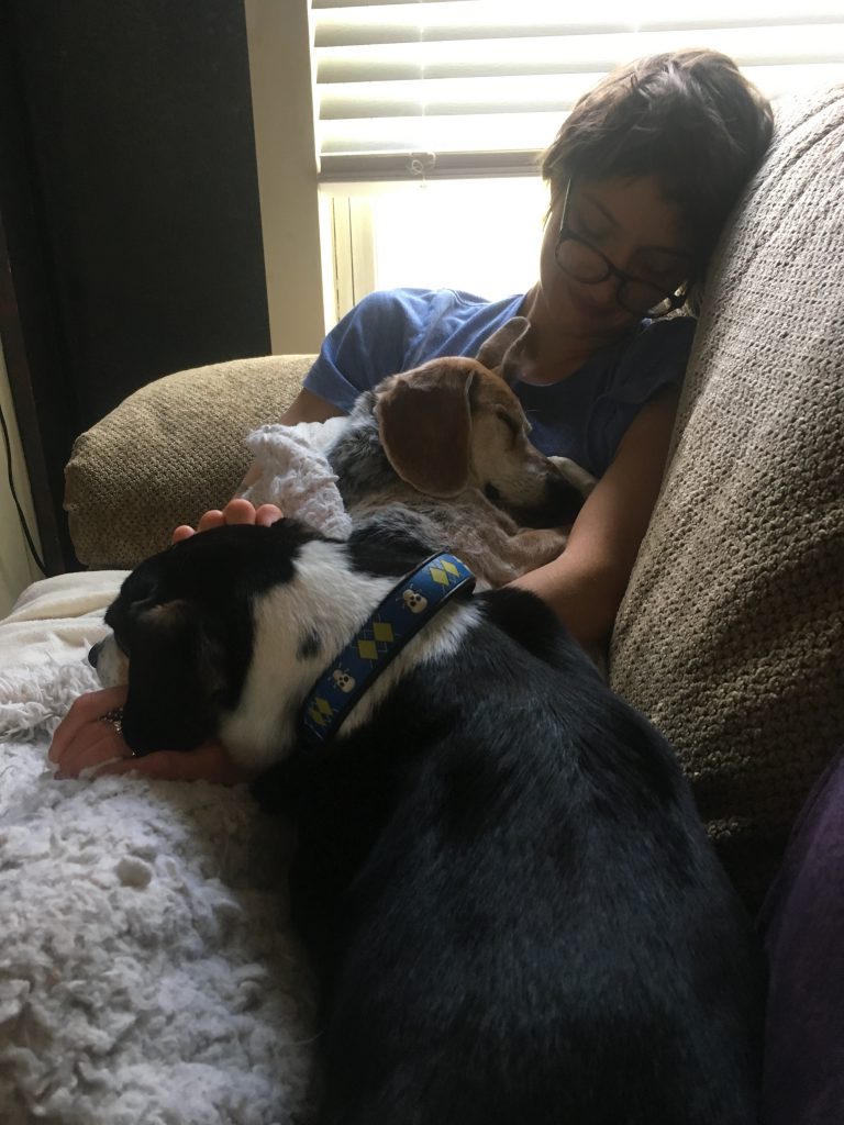 How to Care for a Deceased Pet at Home - TalkDeath