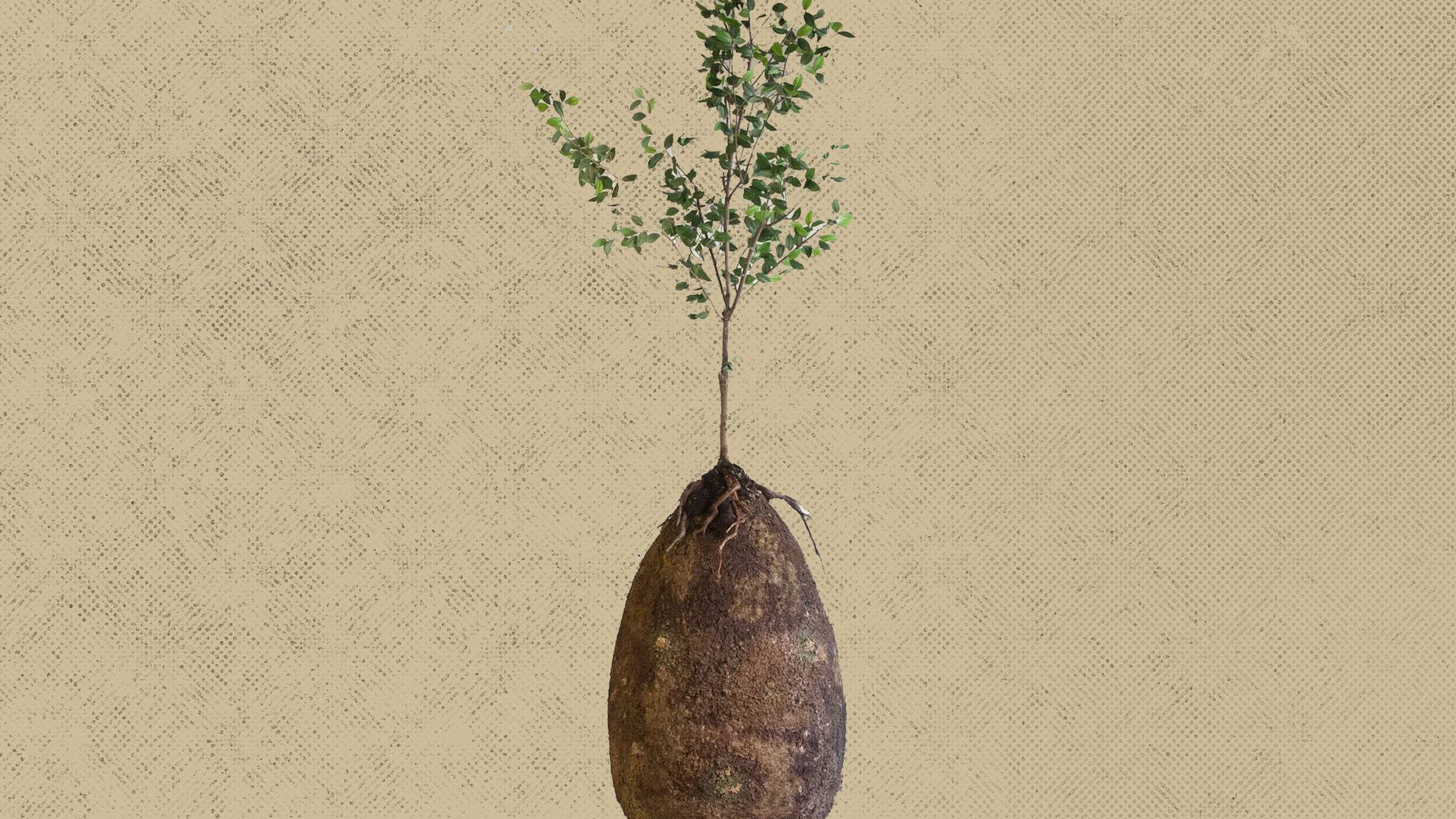 Death Personified: The Best Fiction with Death as a Character - TalkDeath