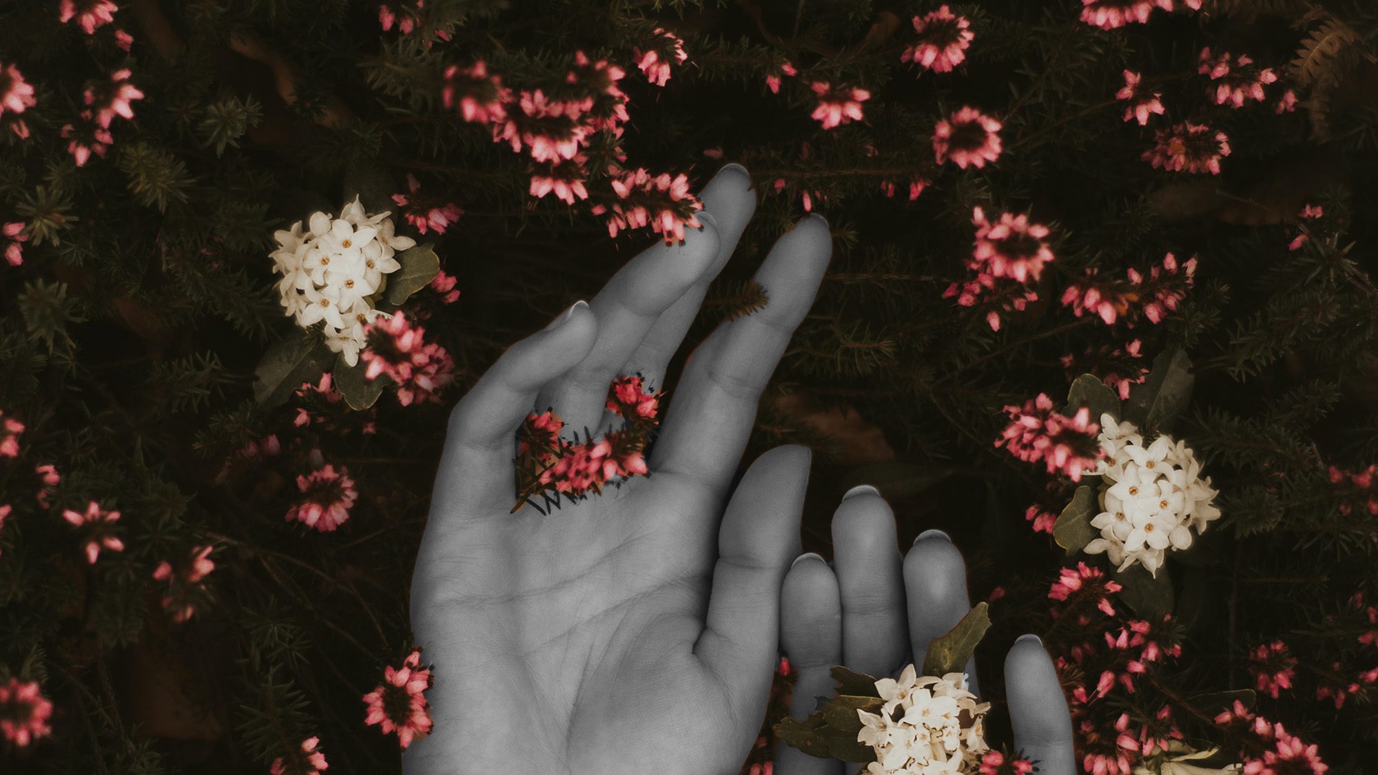 Death Personified: The Best Fiction with Death as a Character - TalkDeath